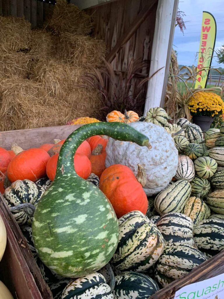 Fall Decor Now Available - Garden Hill Farmers Market