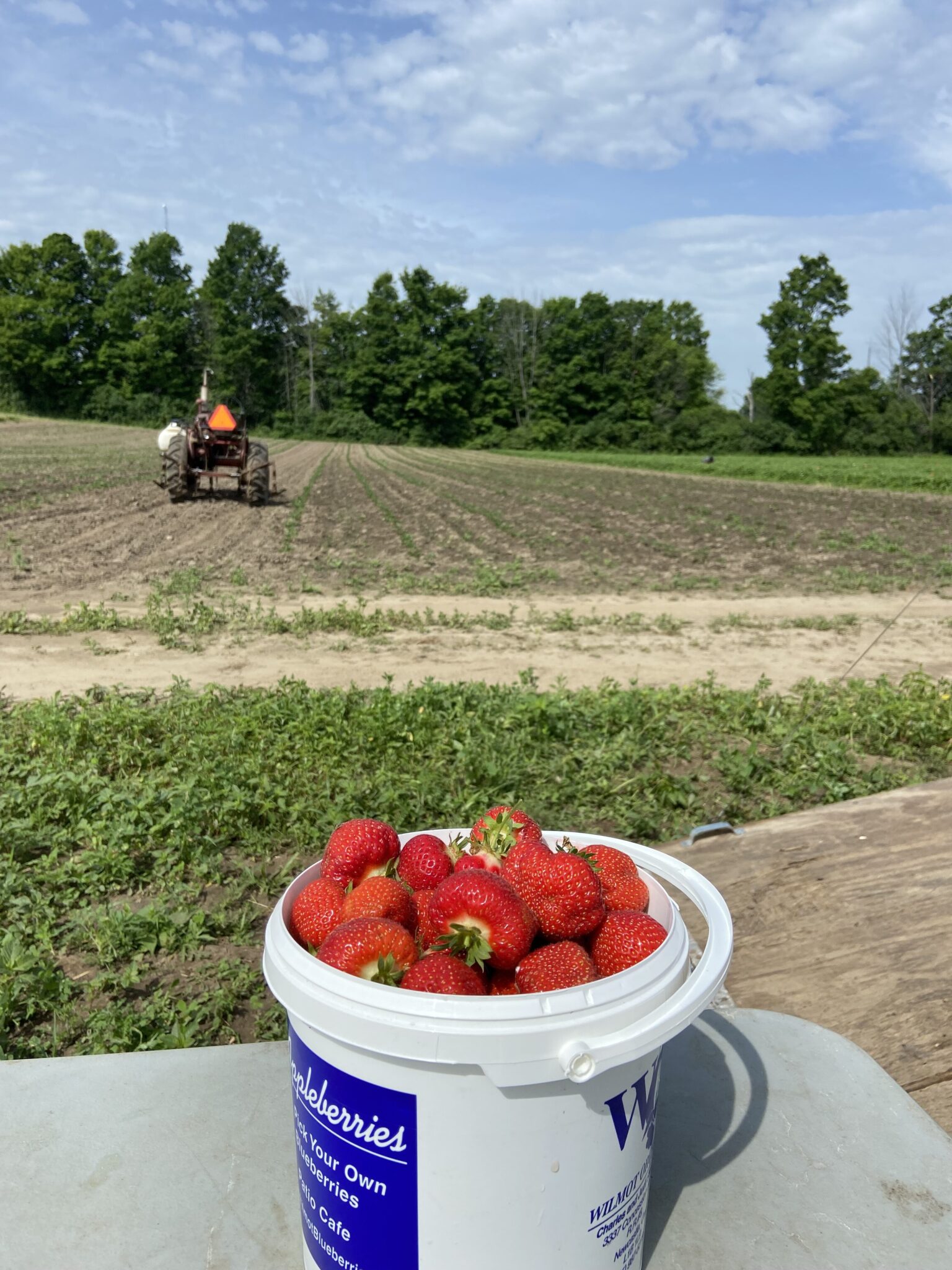 u-pick - Garden Hill Farmers Market